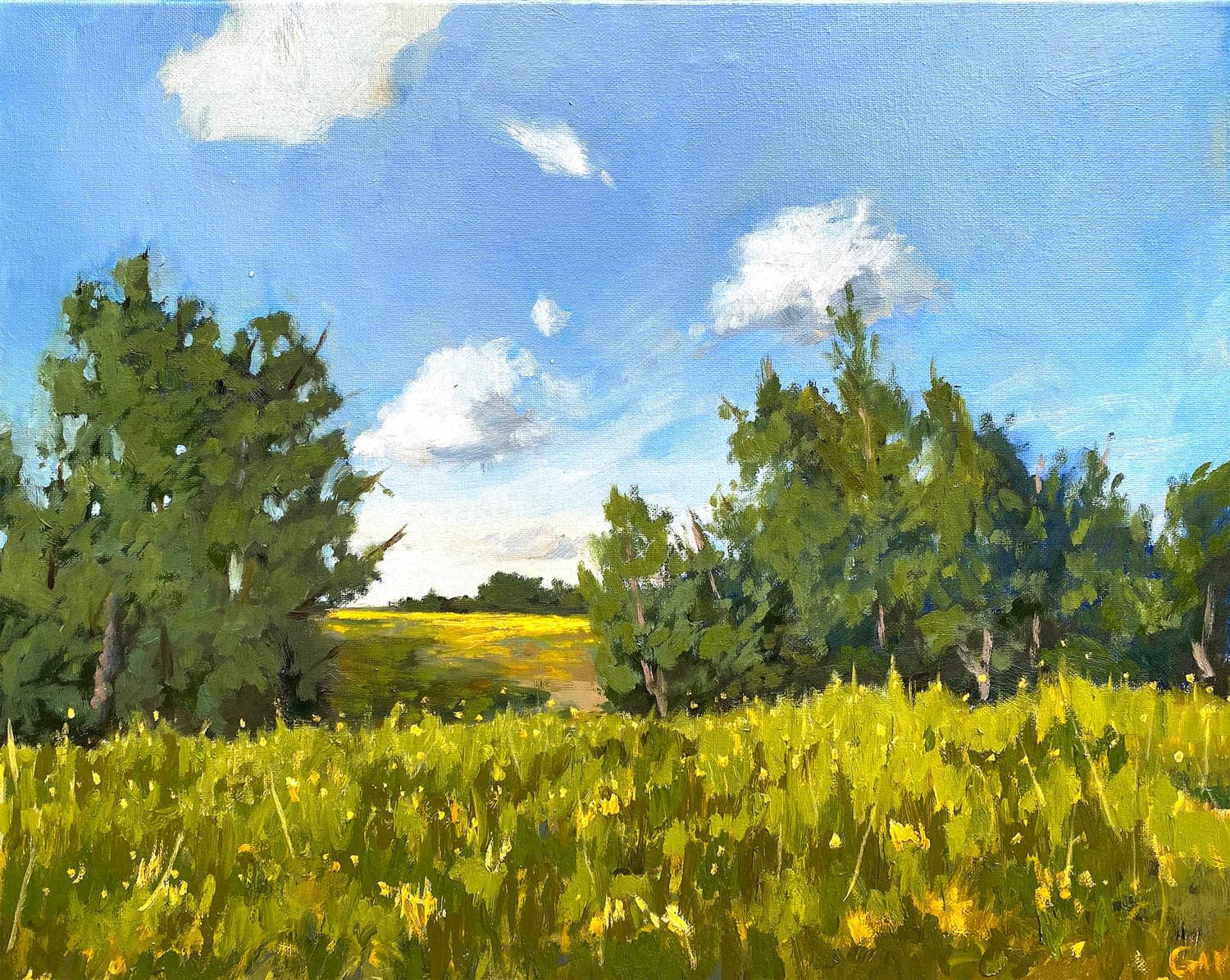 Art • Gail Kelly Art