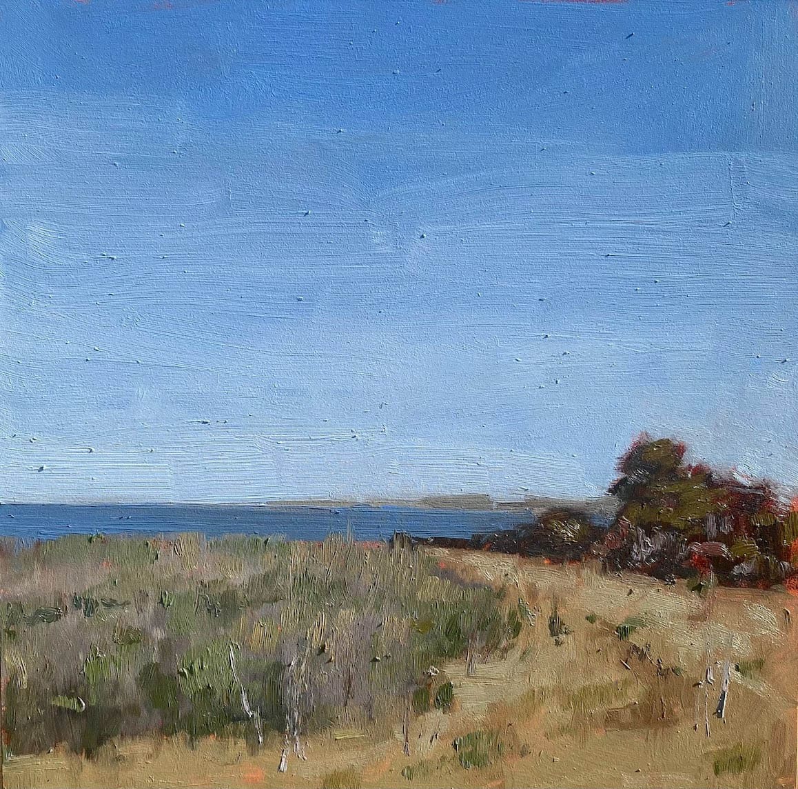 Selected Works • Gail Kelly Art
